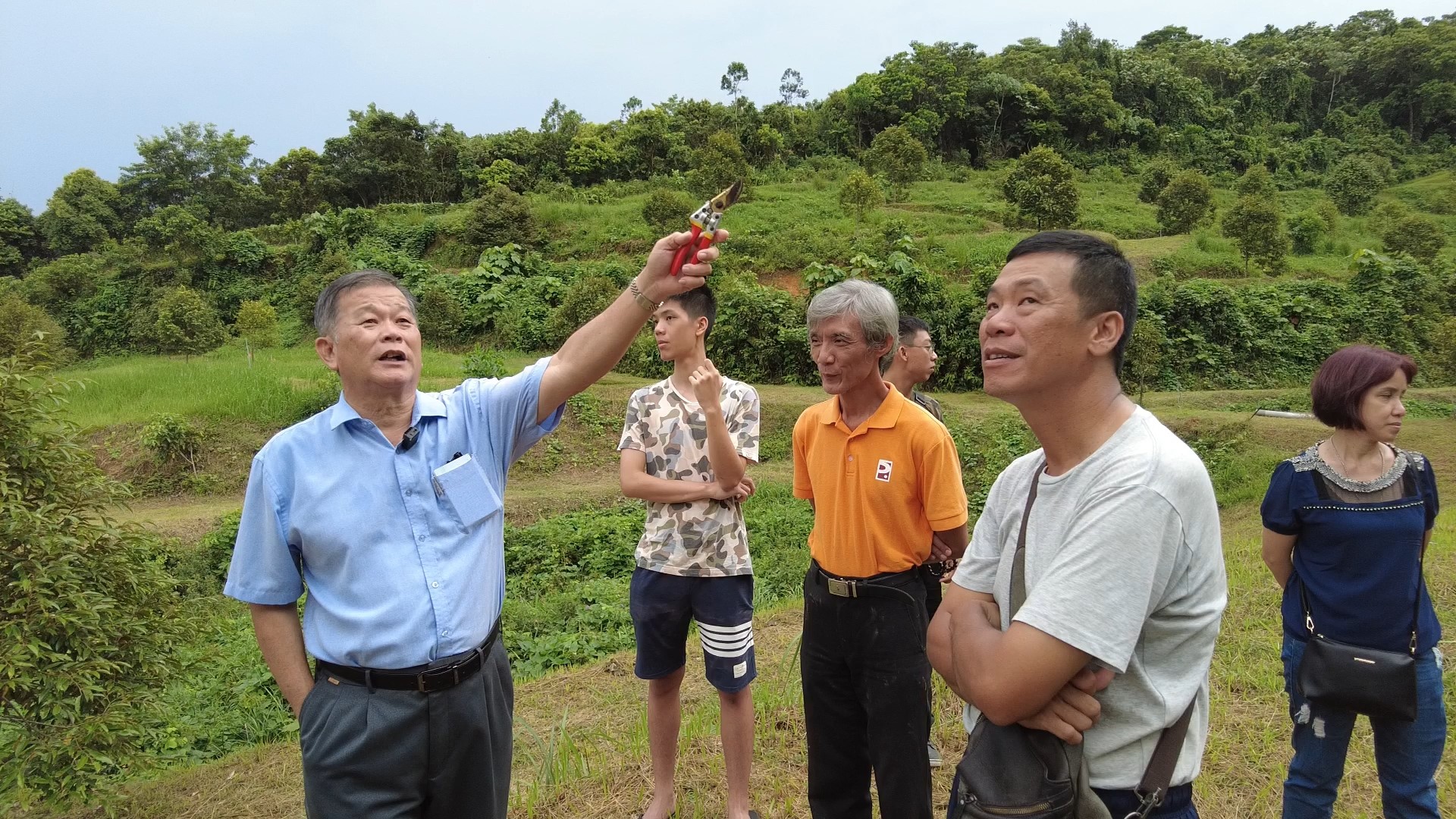 Plantation Management Model - MG Formula Berhad TM